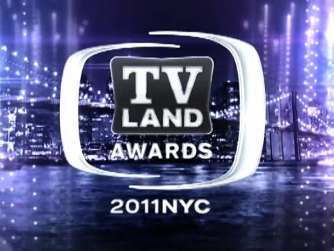 TV Land Awards Reunite Casts of Family Ties, The Cosby Show, The Facts ...