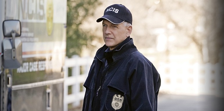 NCIS TV show on CBS: season 14, season 15