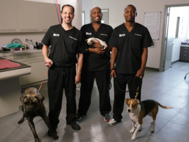 The Vet Life: New Animal Plant Series Coming in June - canceled ...