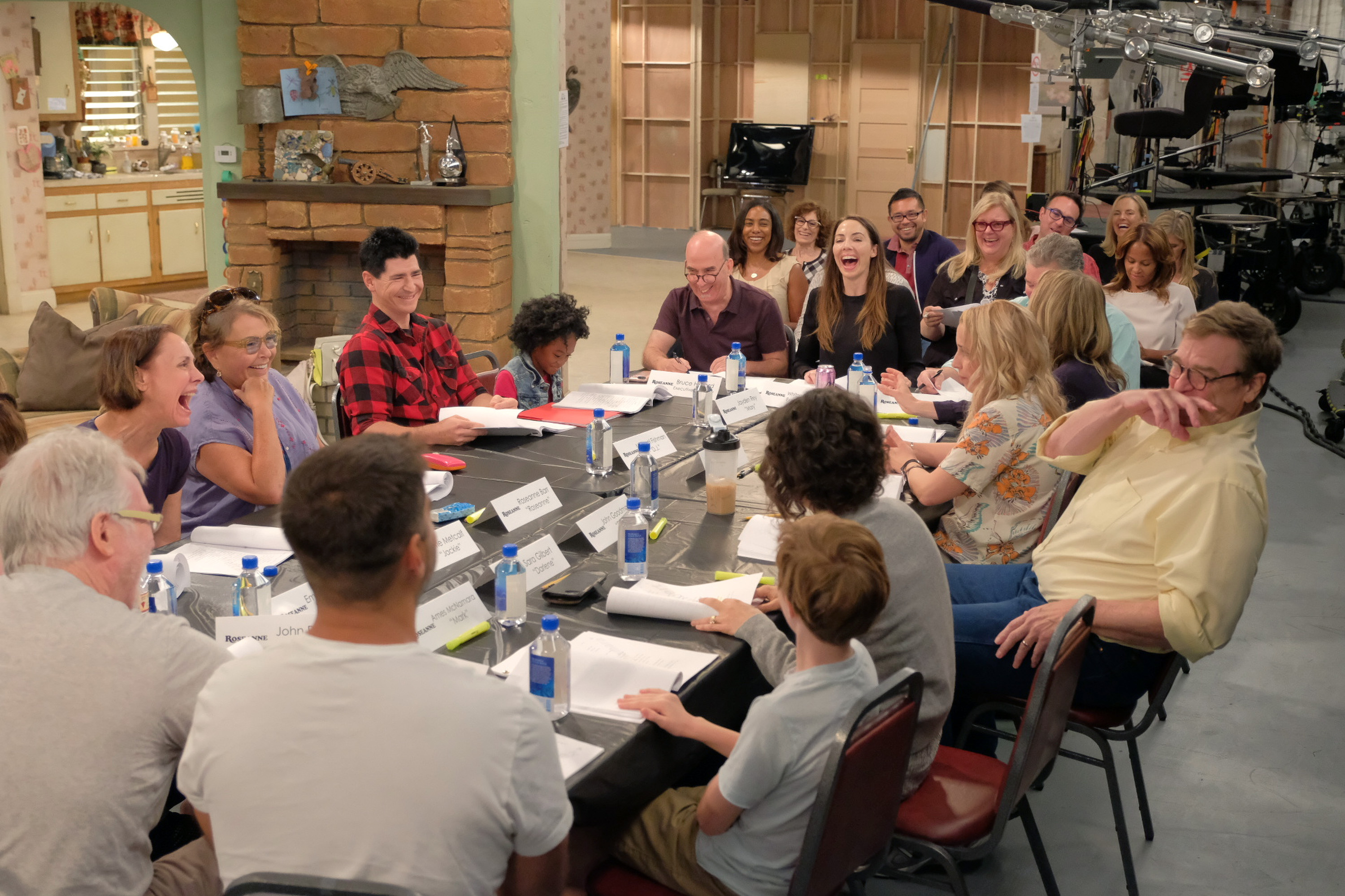 Roseanne TV Show on ABC: Season 10 Release Date - canceled + renewed TV ...