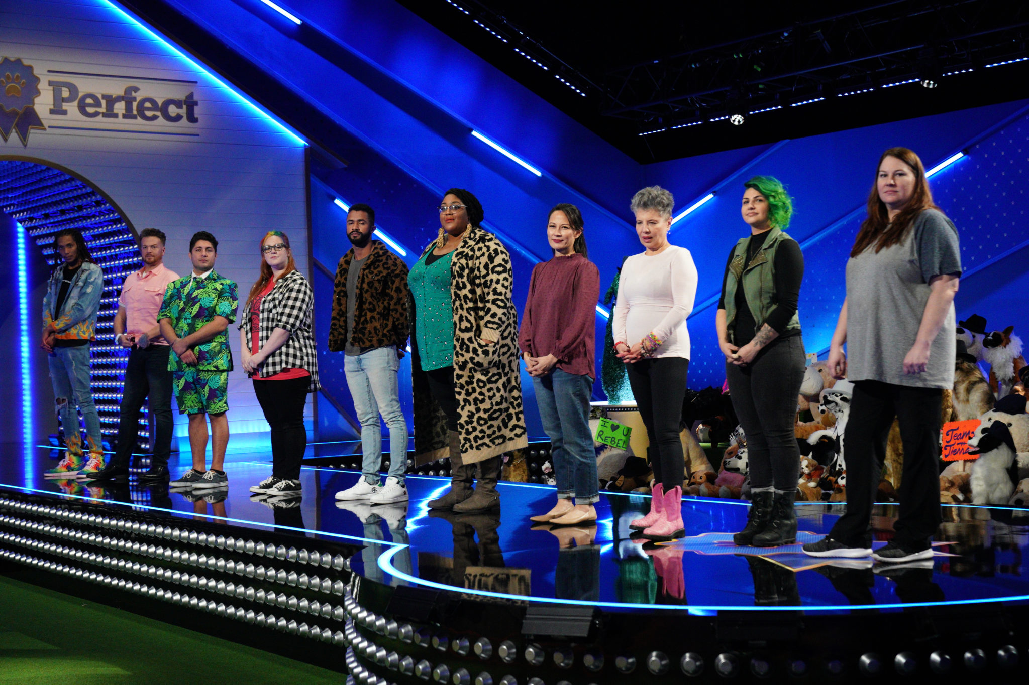 Pooch Perfect on ABC: cancelled? season 2? (release date) - canceled ...