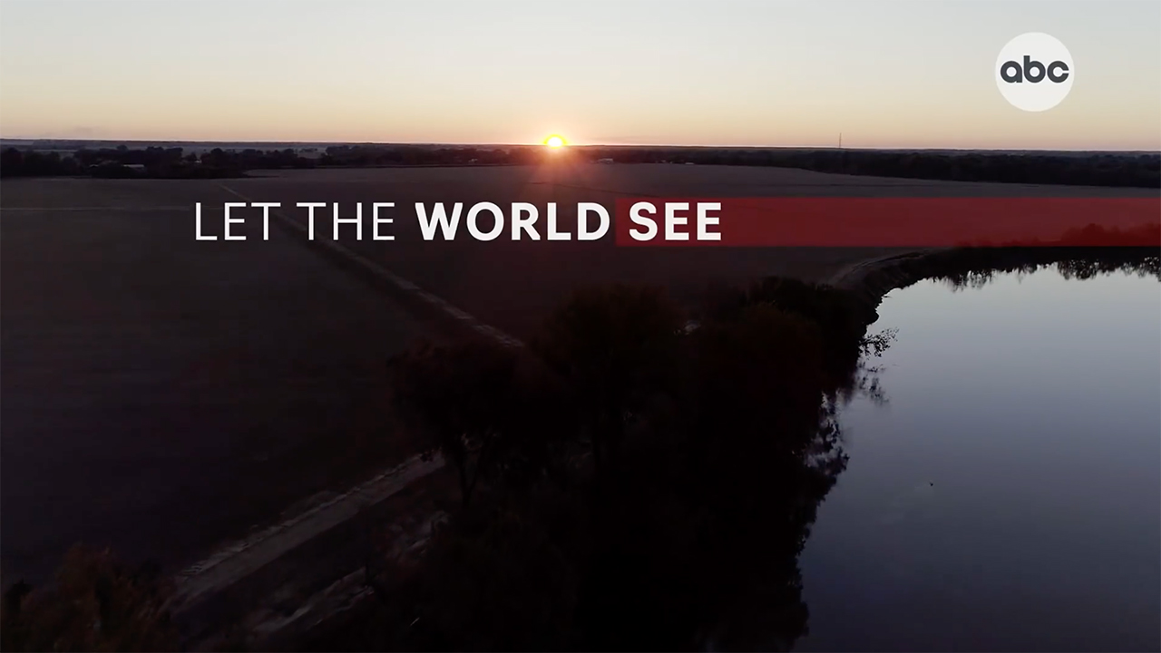 Let the World See - canceled + renewed TV shows, ratings - TV Series Finale