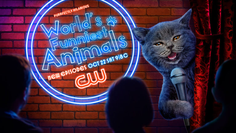 World's Funniest Animals: Season Three Ratings - canceled + renewed TV ...