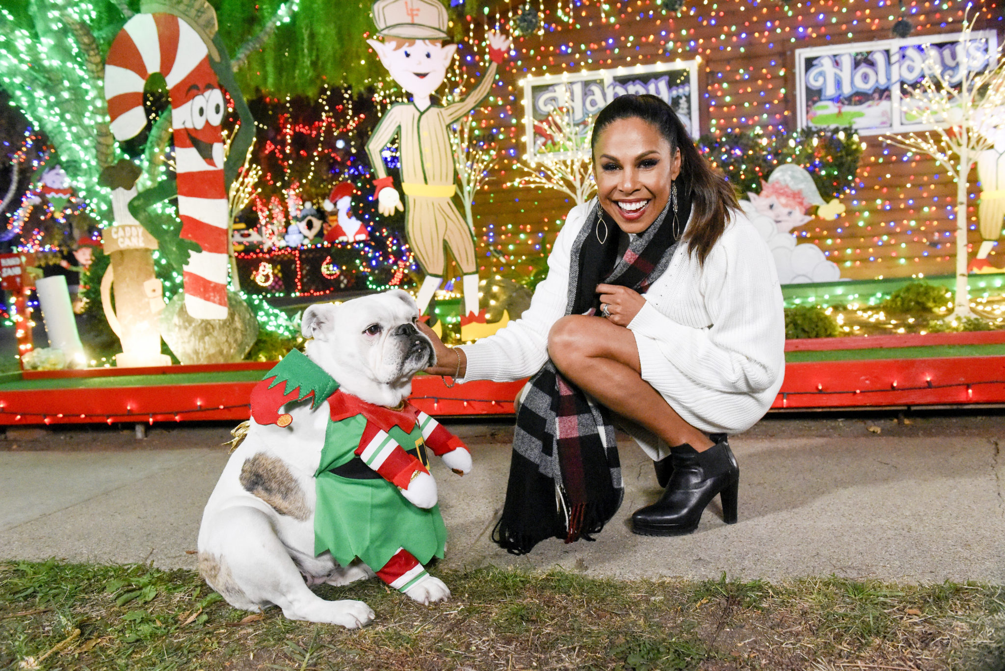 The Great Christmas Light Fight TV Show on ABC: Season 10 Viewer Votes ...