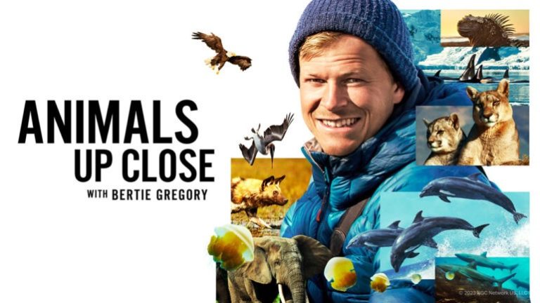 Animals Up Close with Bertie Gregory: National Geographic Series to ...
