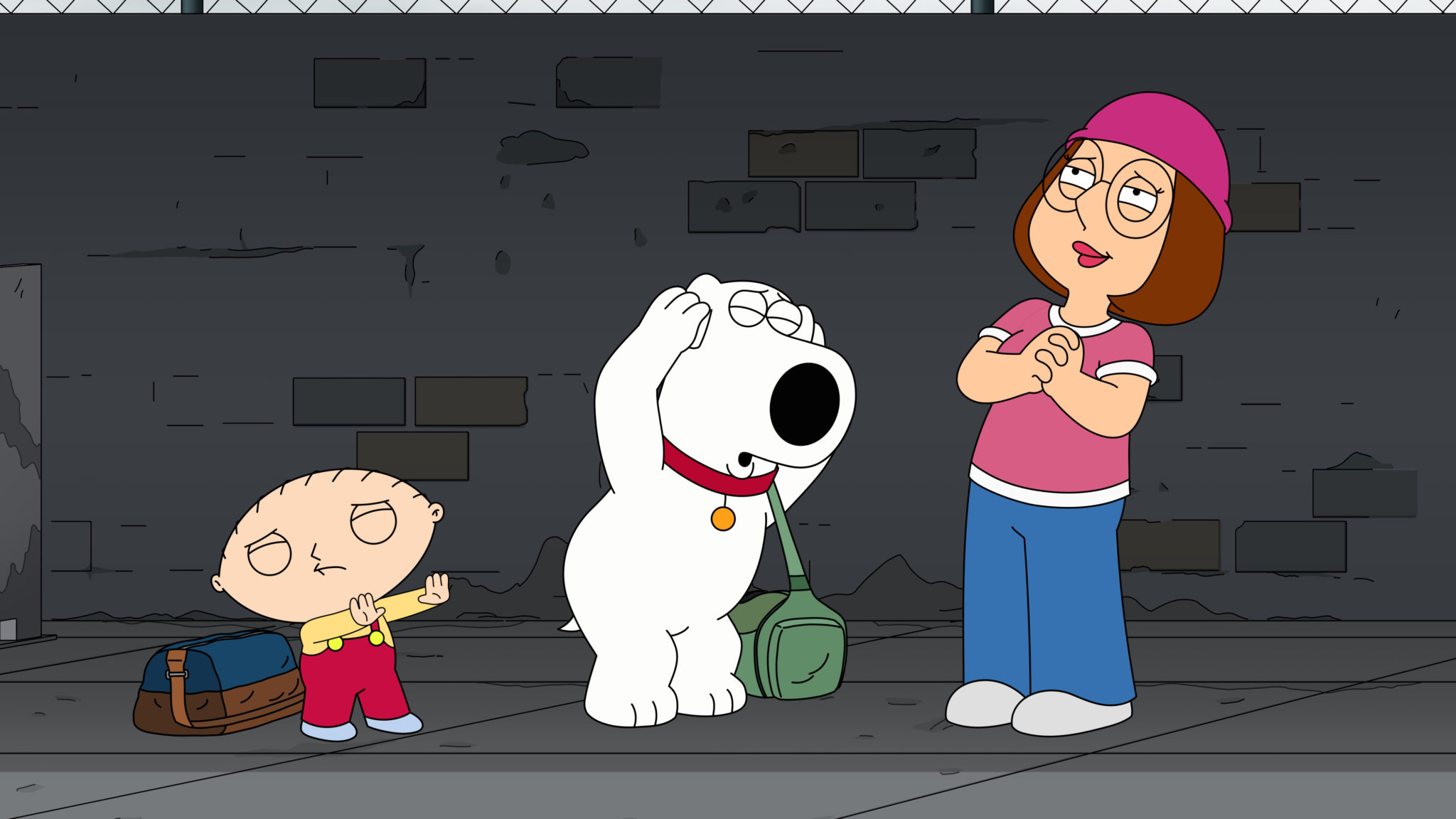 Family Guy TV Show on FOX: Season 22 Viewer Votes - canceled + renewed ...