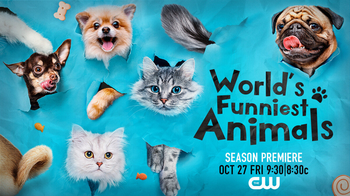 World's Funniest Animals: Season Four Ratings - canceled + renewed TV ...