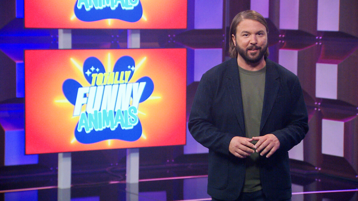 Totally Funny Animals - canceled + renewed TV shows, ratings - TV ...