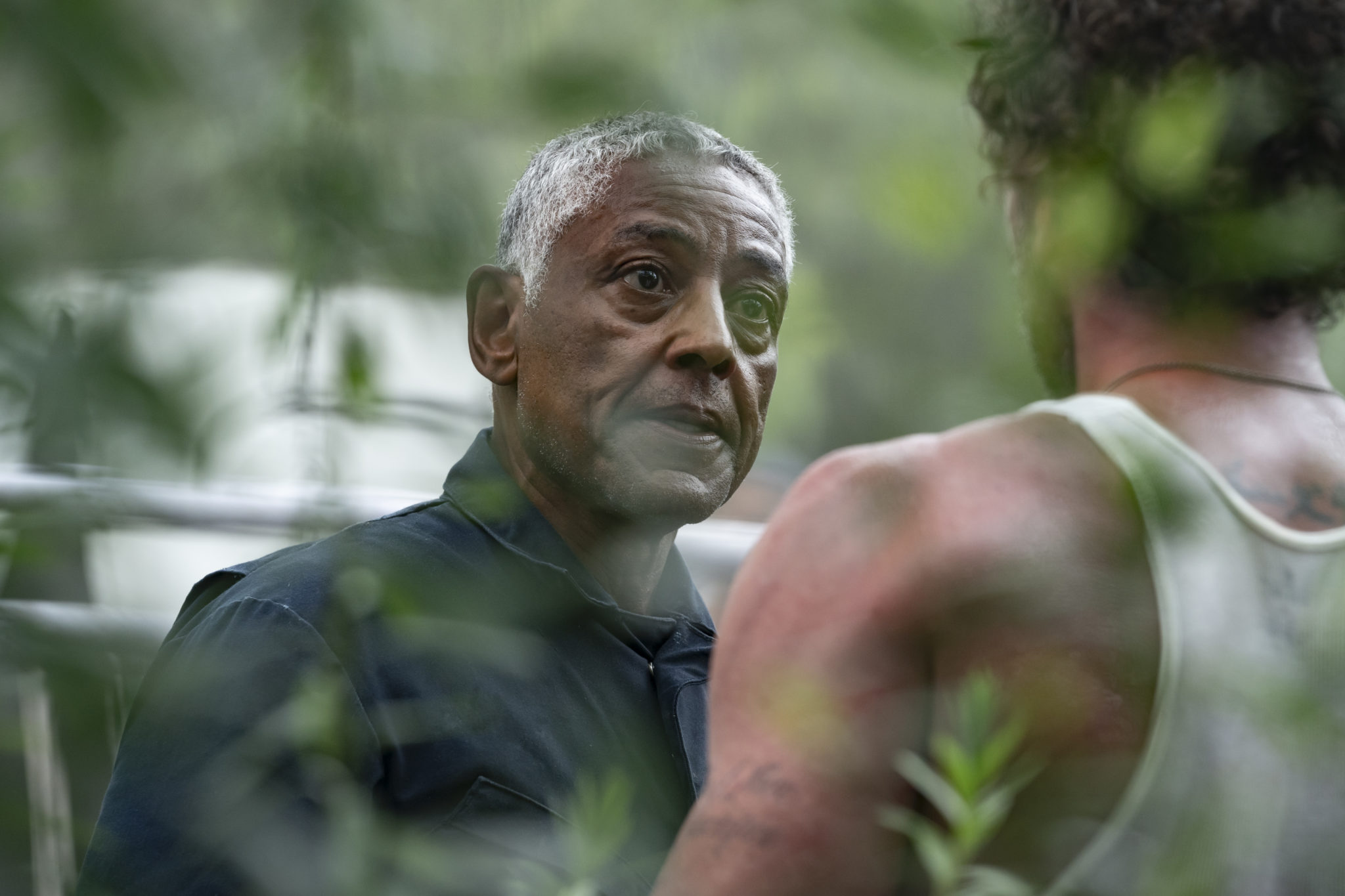 Parish: Cancelled by AMC; No Season Two for Crime Drama Series Starring ...