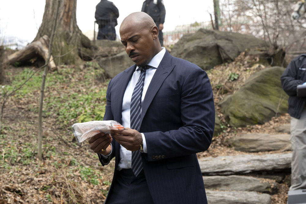 Law & Order: Season 25; Mehcad Brooks Leaves NBC Series Ahead of 2025-26 - canceled + renewed TV ...