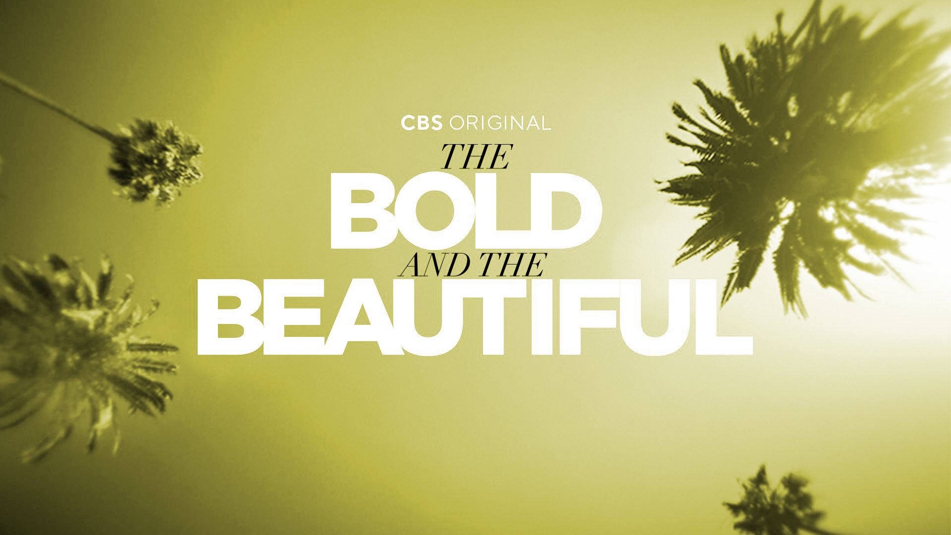 The Bold and the Beautiful: 2024-25 TV Season Ratings (updated 09/27 ...