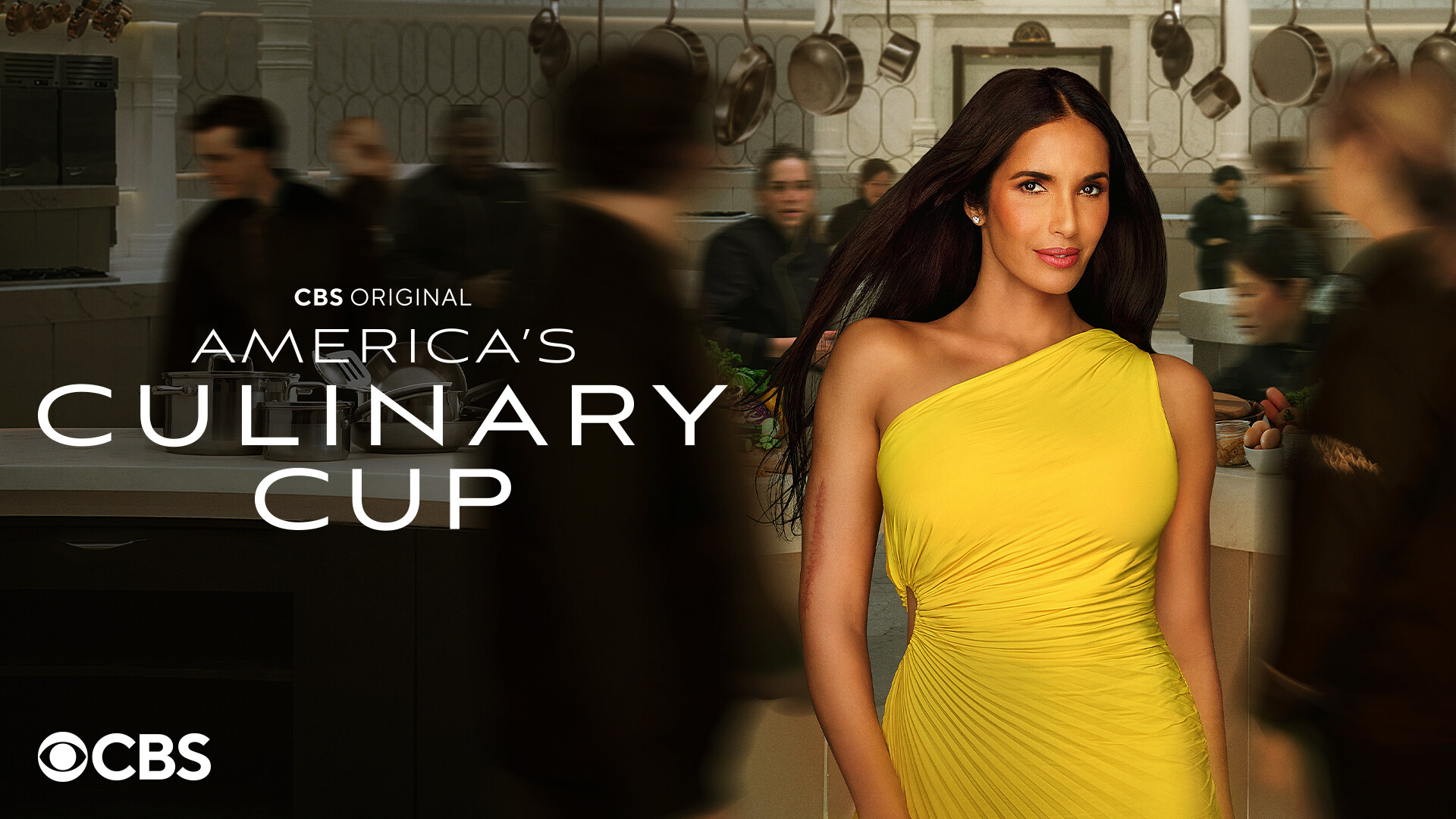 America's Culinary Cup: Season One Ratings - canceled + renewed TV ...